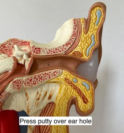Ear Plugs - How to use them so they work! - Just Ears
