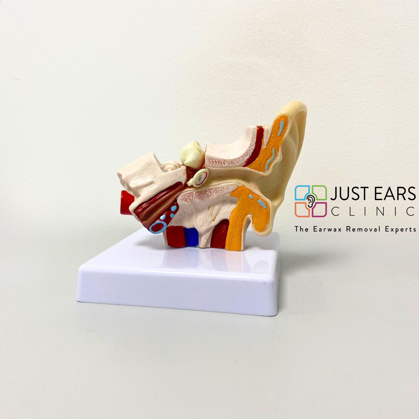 Understanding the Connection Between Hay Fever and Ear Pain - Just Ears